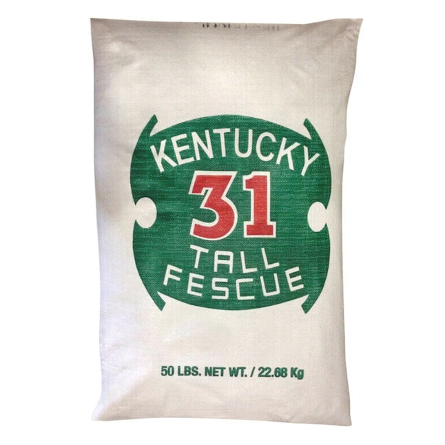Kentucky 31 Tall Fescue, Grass Seed, (5 Lb. pack), Kentucky 31 Field a ...