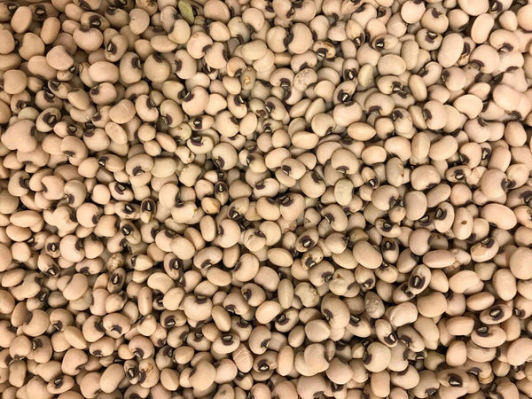 Mississippi Pinkeye 2, Purple Hull Pinkeye 2 Cowpeas, Cowpeas, 50 Seed ...